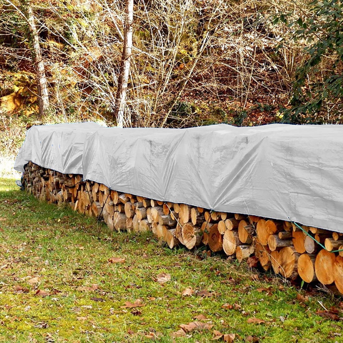 Medium Duty Poly Tarps, Size: 6' x 8'